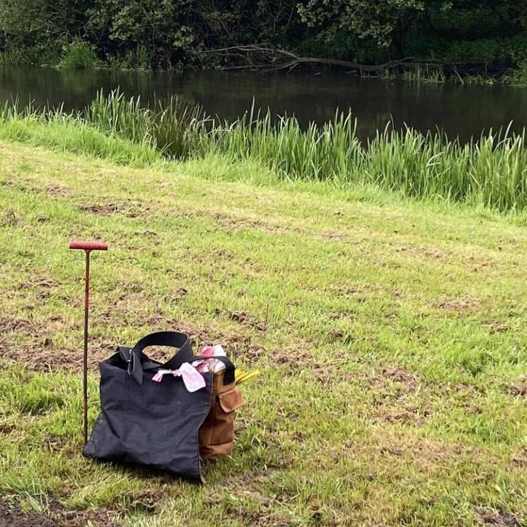 Mole Control Norfolk | Skilled Norfolk Mole Catcher | Acorn Pest Management